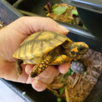 Home Redfoot Ranch - Redfoot Ranch