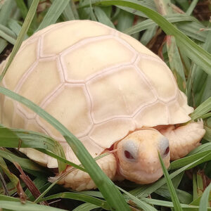 Home Redfoot Ranch - Redfoot Ranch