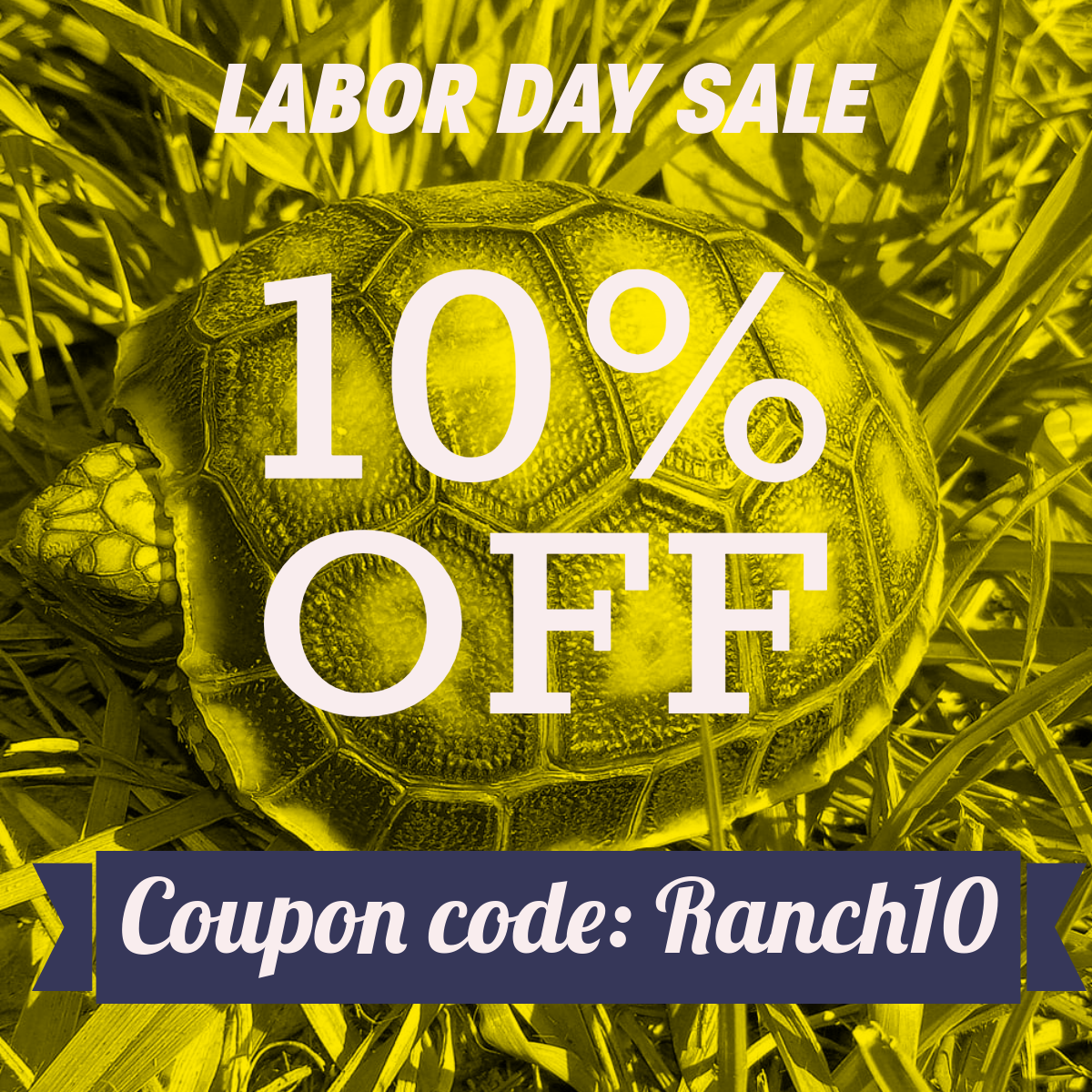 Labor Day Special! - Redfoot Ranch
